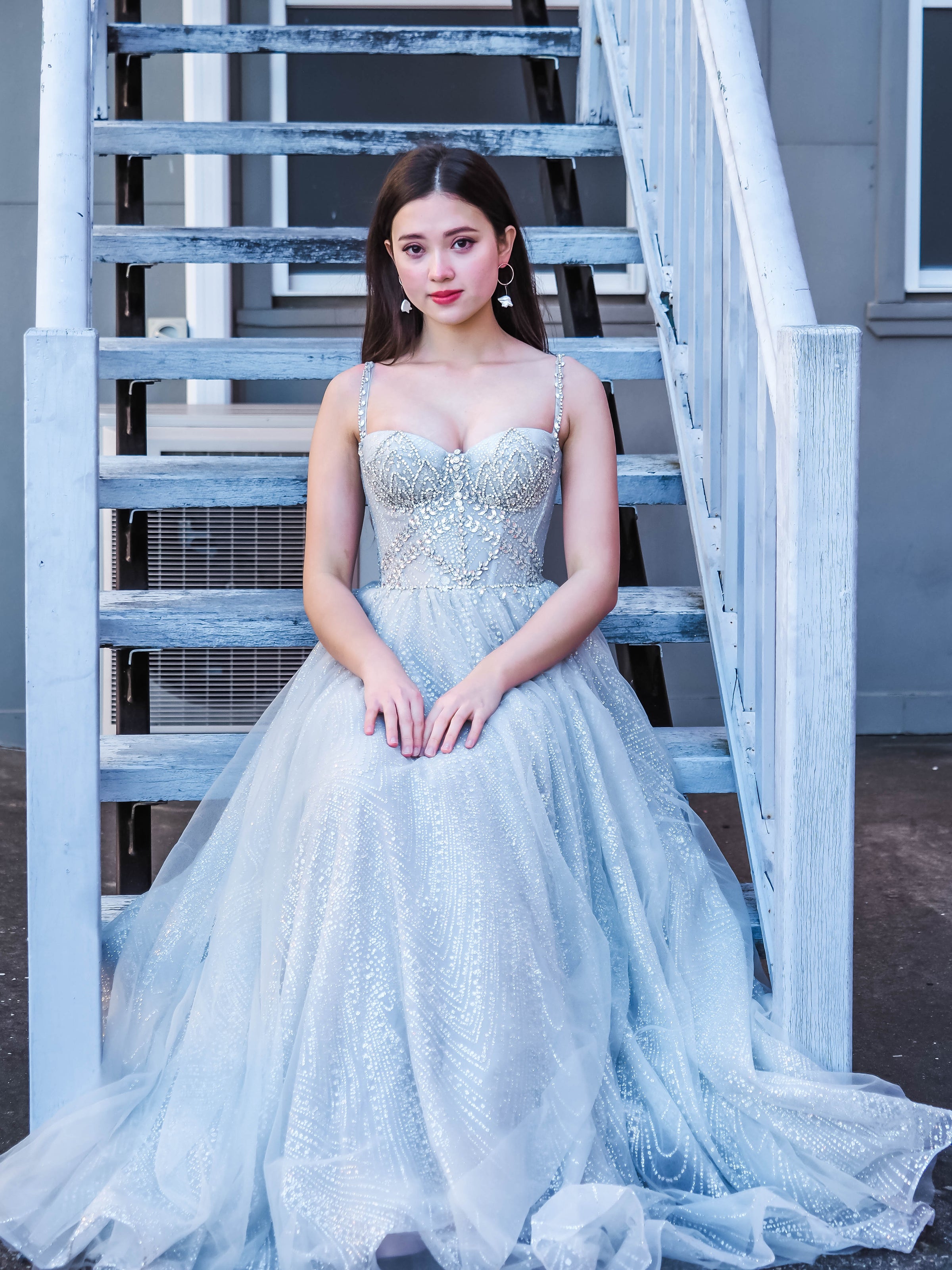 Silver Moon sparkling bustier top princess dress – Destiny Chic